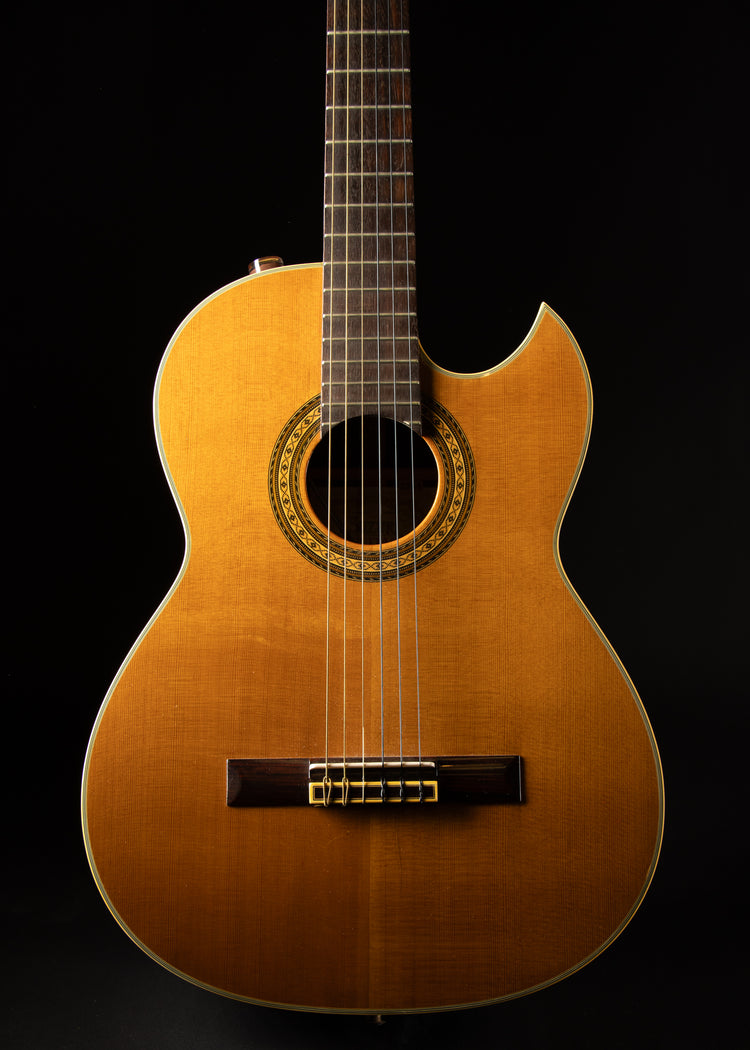 Acoustic Guitars – Music City Vintage Guitars